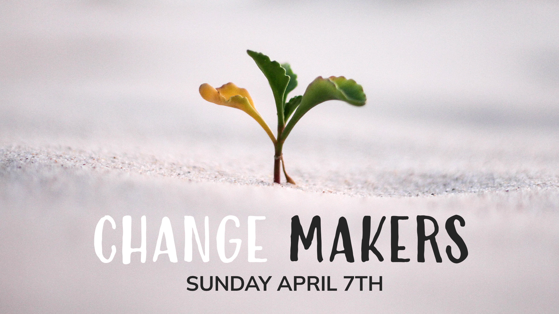 Changemakers Day of Mindfulness - Tickets | Sunday, April 7th